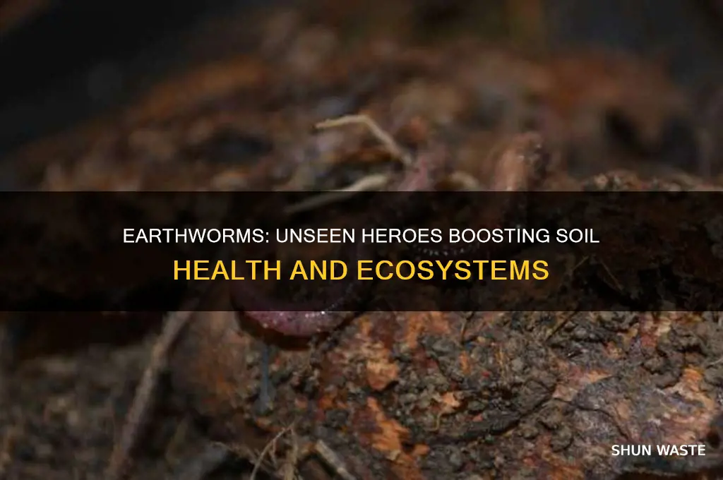 Earthworms: Unseen Heroes Boosting Soil Health And Ecosystems | ShunWaste