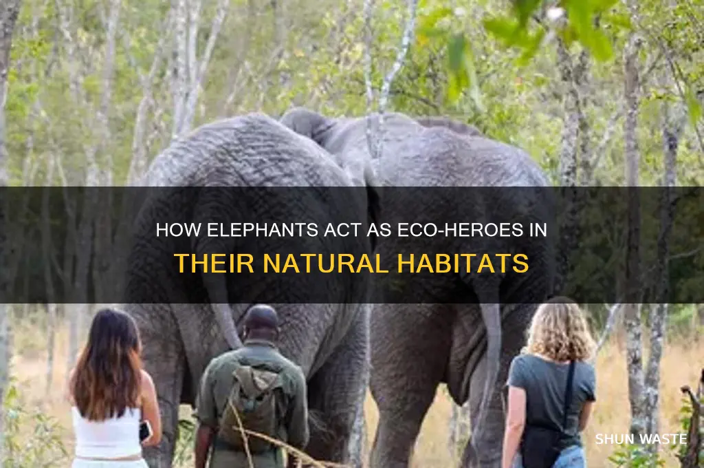 How Elephants Act As Eco-Heroes In Their Natural Habitats | ShunWaste