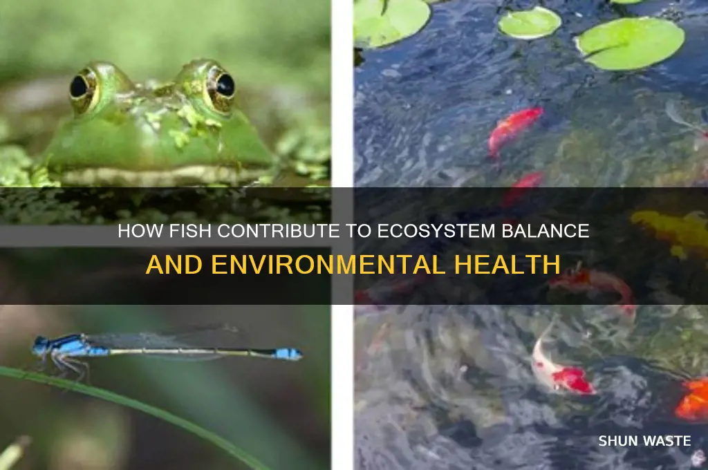 How Fish Contribute To Ecosystem Balance And Environmental Health ...