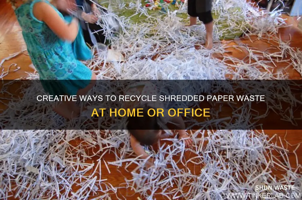 Creative Ways To Recycle Shredded Paper Waste At Home Or Office | ShunWaste