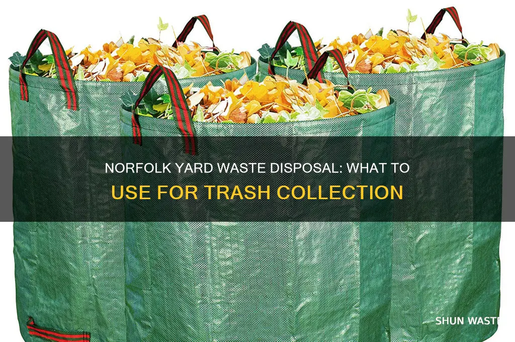 Norfolk Yard Waste Disposal: What To Use For Trash Collection | ShunWaste