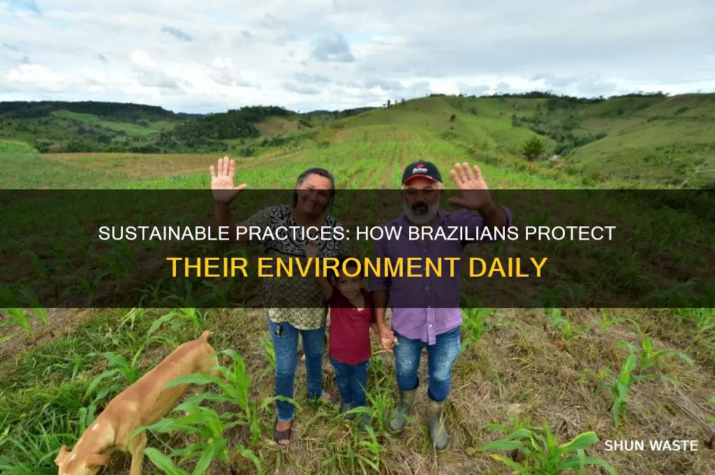 Sustainable Practices: How Brazilians Protect Their Environment Daily ...