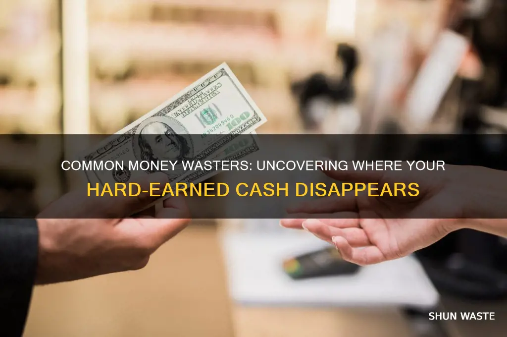 Common Money Wasters: Uncovering Where Your Hard-Earned Cash Disappears ...