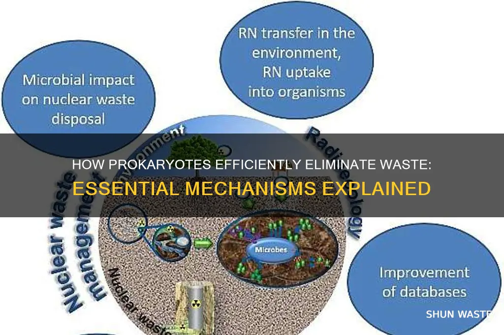 How Prokaryotes Efficiently Eliminate Waste: Essential Mechanisms ...