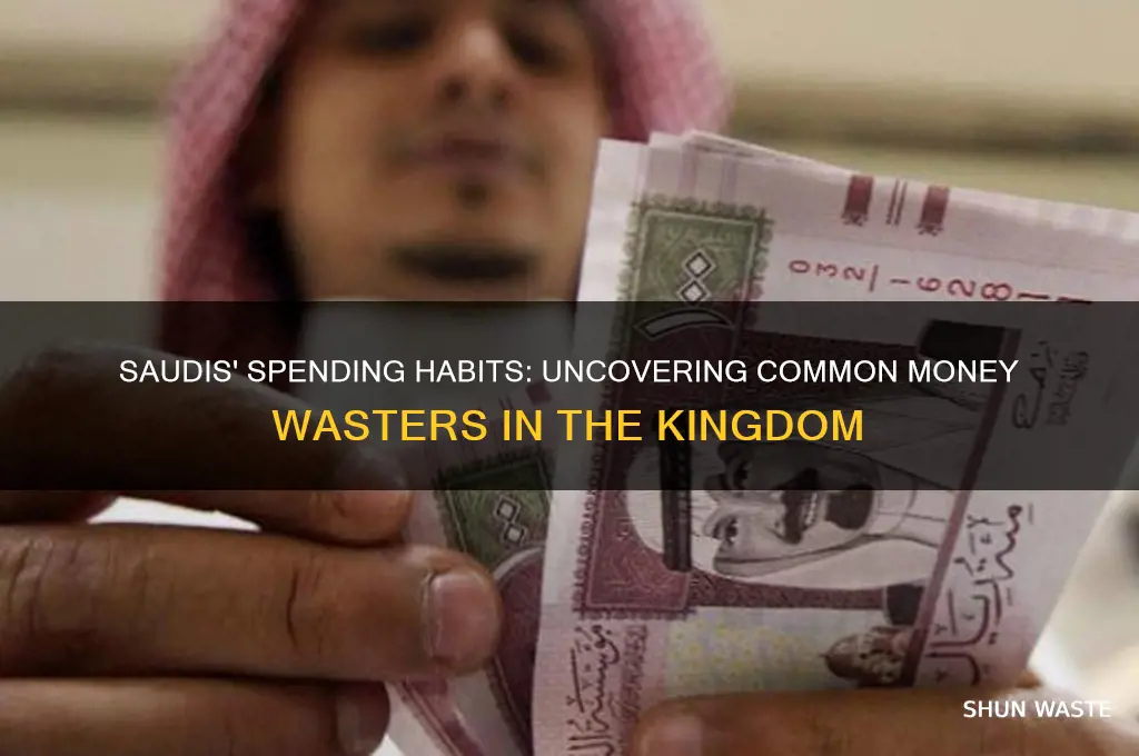 Saudis' Spending Habits: Uncovering Common Money Wasters In The Kingdom ...