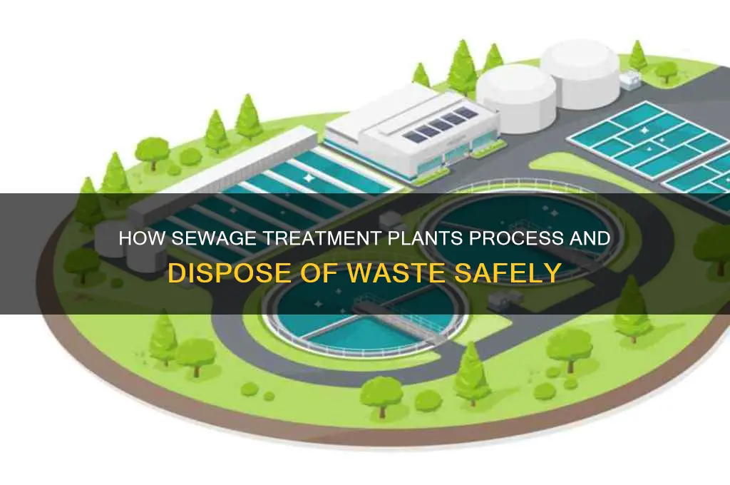 How Sewage Treatment Plants Process And Dispose Of Waste Safely | ShunWaste