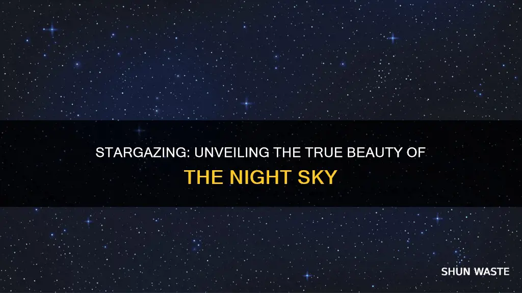 Stargazing: Unveiling The True Beauty Of The Night Sky | ShunWaste