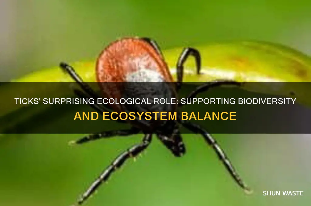 Ticks' Surprising Ecological Role: Supporting Biodiversity And ...