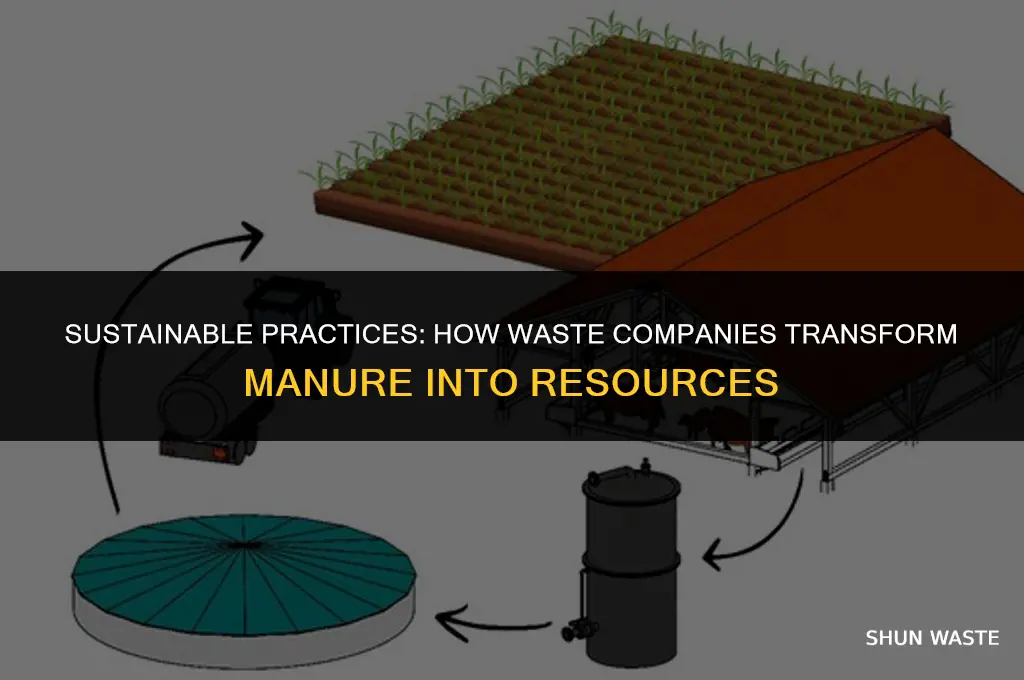 Sustainable Practices: How Waste Companies Transform Manure Into ...