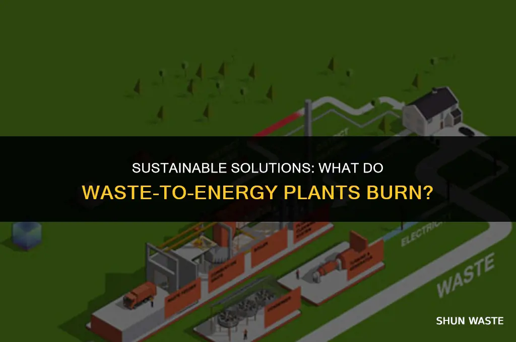 Sustainable Solutions: What Do Waste-To-Energy Plants Burn? | ShunWaste