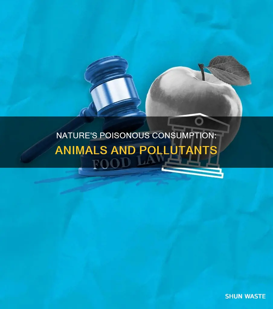 Nature's Poisonous Consumption: Animals And Pollutants | ShunWaste