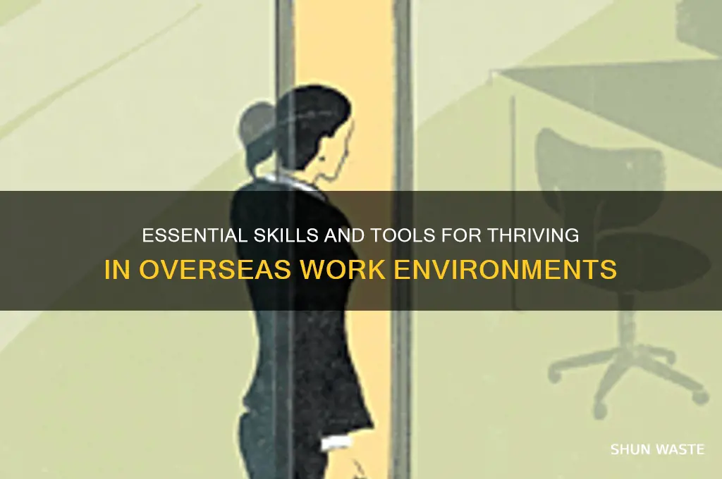 Essential Skills And Tools For Thriving In Overseas Work Environments ...
