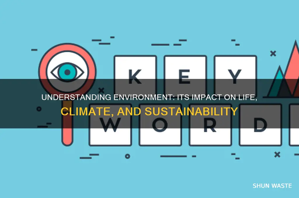 Understanding Environment: Its Impact On Life, Climate, And ...