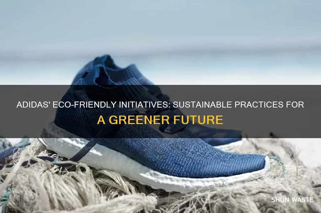 Adidas' Eco-Friendly Initiatives: Sustainable Practices For A Greener ...