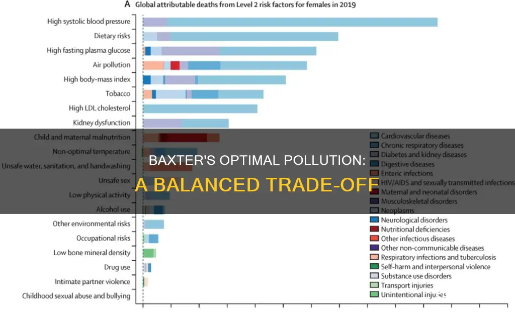 Baxter's Optimal Pollution: A Balanced Trade-Off | ShunWaste