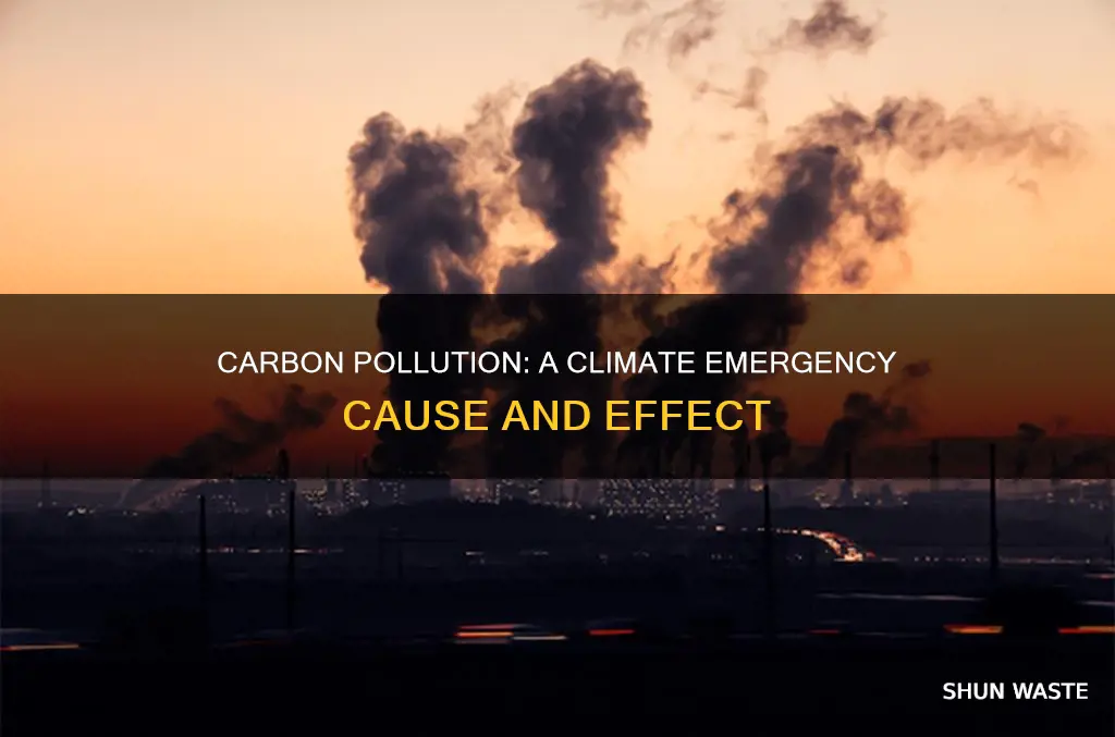 Carbon Pollution: A Climate Emergency Cause And Effect | ShunWaste