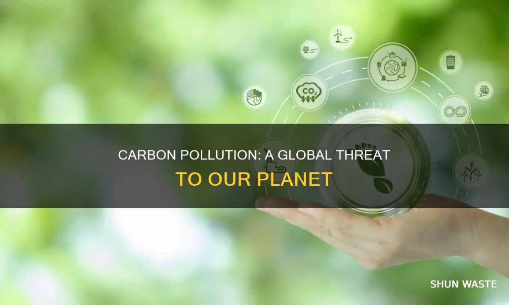 Carbon Pollution: A Global Threat To Our Planet | ShunWaste