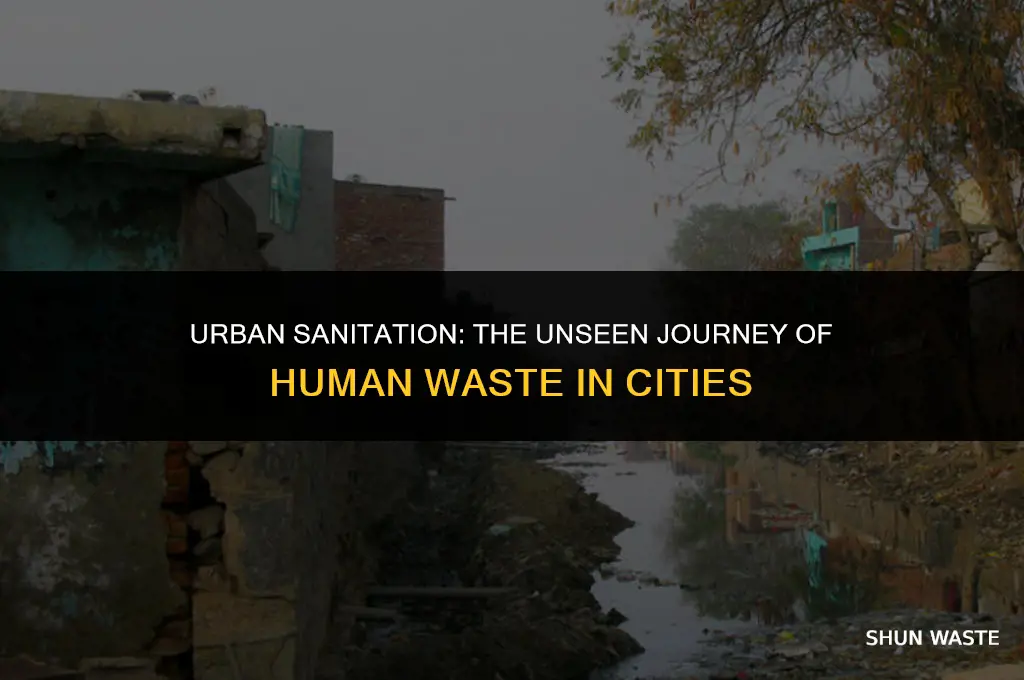 Urban Sanitation: The Unseen Journey Of Human Waste In Cities | ShunWaste
