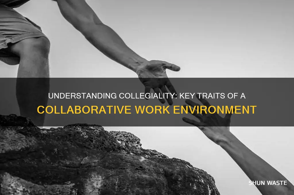 Understanding Collegiality: Key Traits Of A Collaborative Work ...