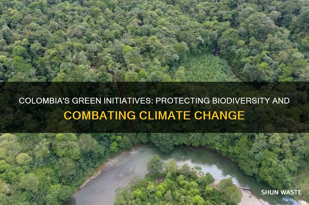 Colombia's Green Initiatives: Protecting Biodiversity And Combating ...
