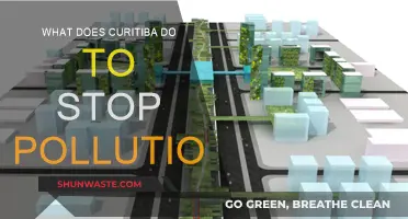 Anti-Pollution System Warning: What Does It Mean? | ShunWaste