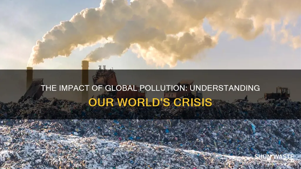 The Impact Of Global Pollution: Understanding Our World's Crisis ...