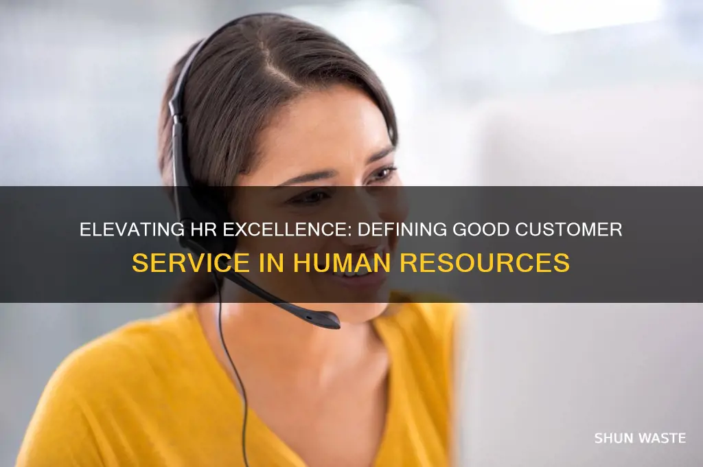 Elevating Hr Excellence: Defining Good Customer Service In Human ...