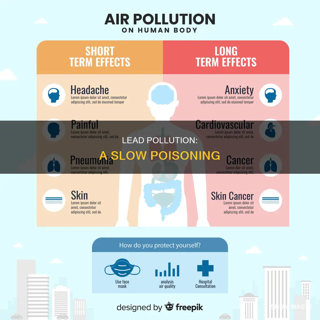 Lead Pollution: A Slow Poisoning | ShunWaste