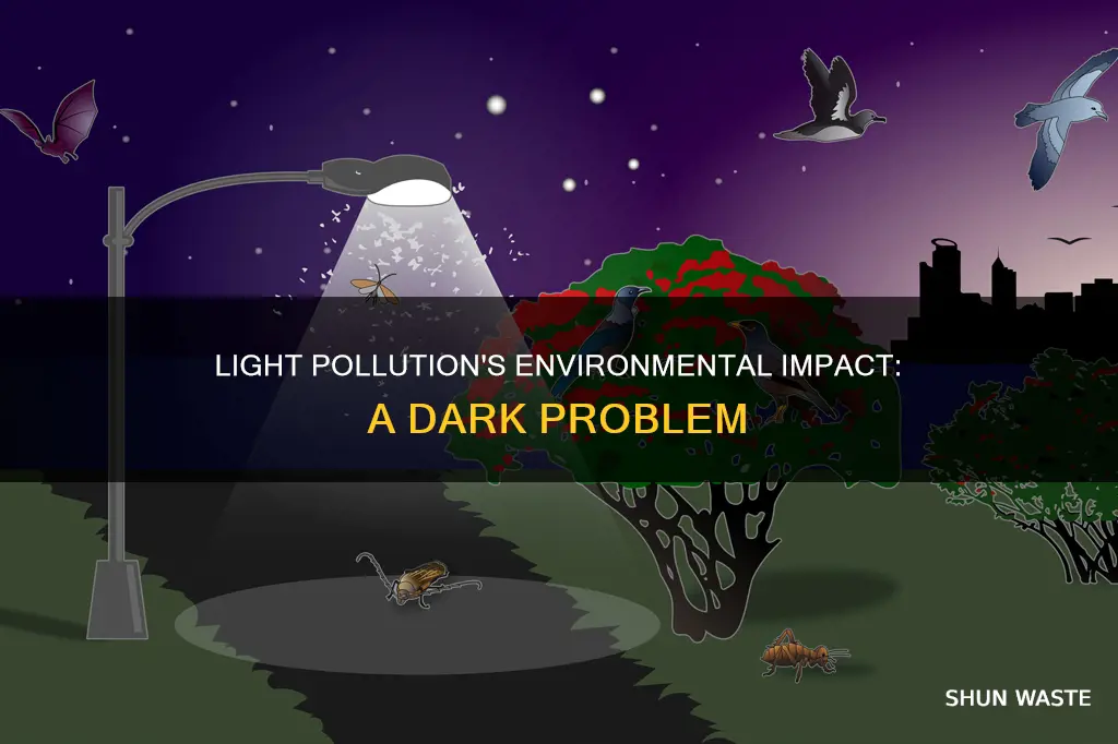 Light Pollution's Environmental Impact: A Dark Problem | ShunWaste