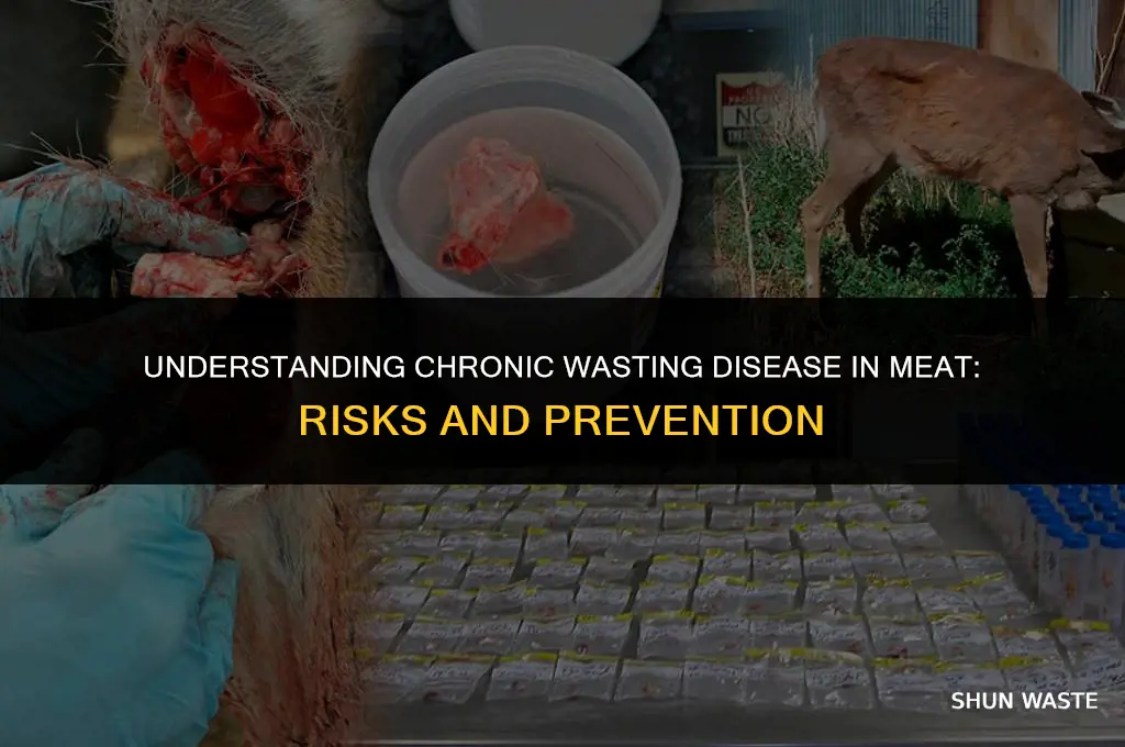 Understanding Chronic Wasting Disease In Meat: Risks And Prevention ...