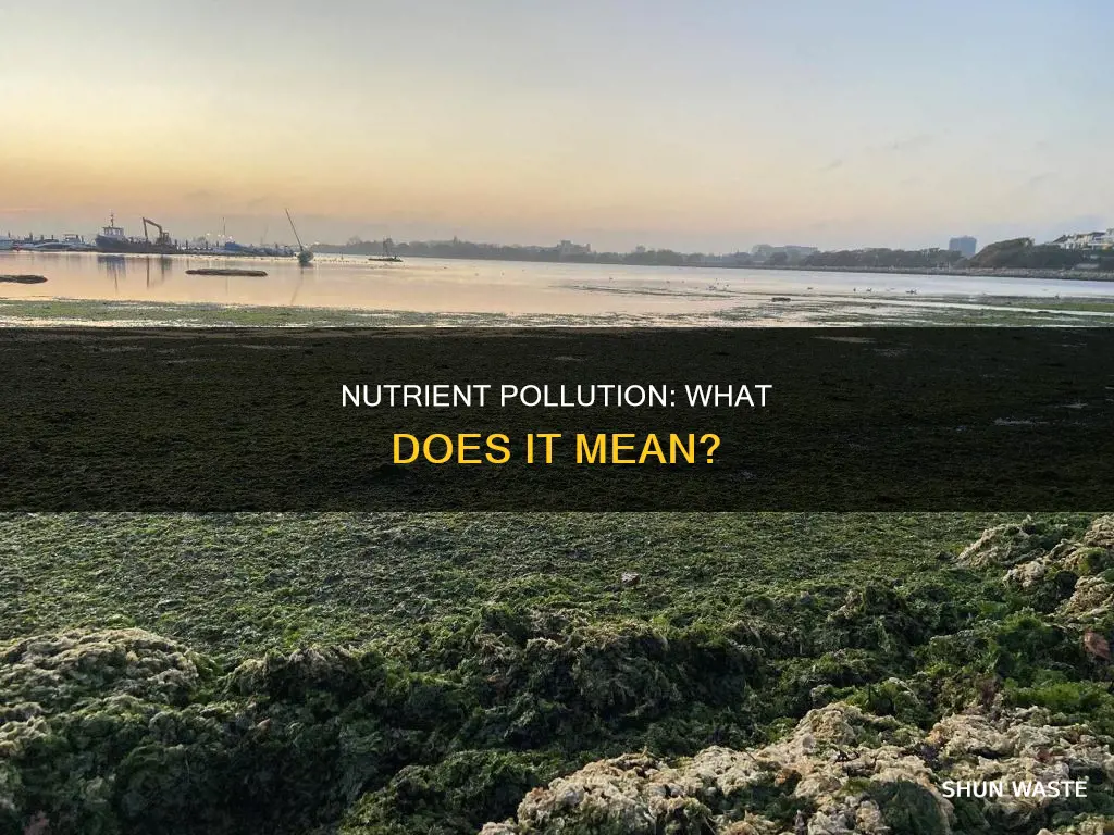 Nutrient Pollution: What Does It Mean? | ShunWaste