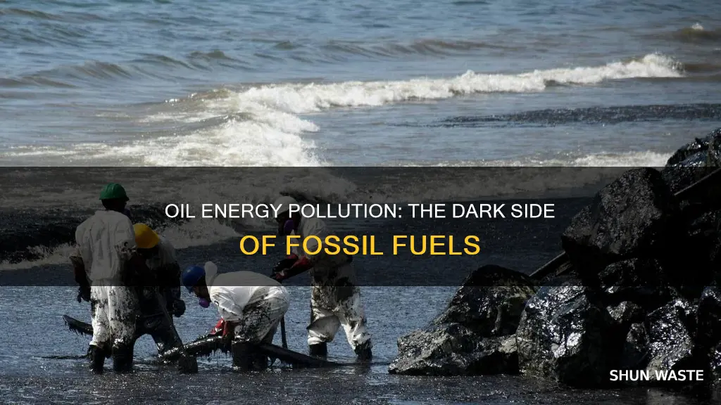 Oil Energy Pollution: The Dark Side Of Fossil Fuels | ShunWaste