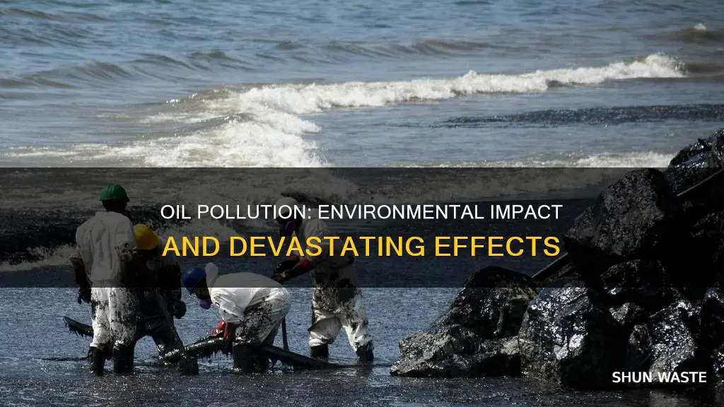 Oil Pollution: Environmental Impact And Devastating Effects | ShunWaste
