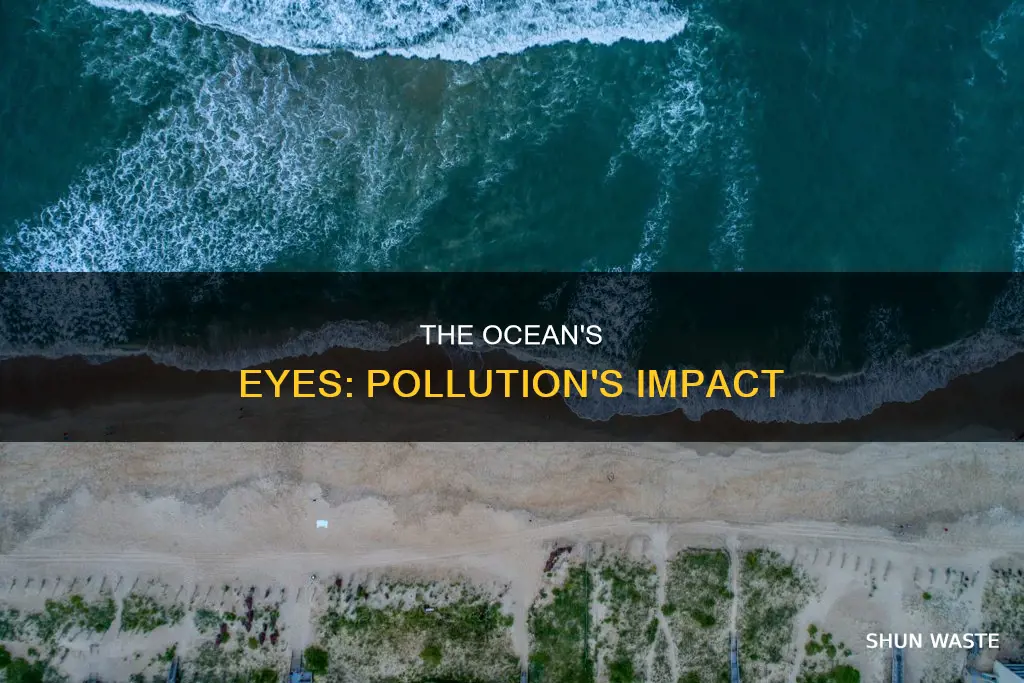 The Ocean's Eyes: Pollution's Impact | ShunWaste