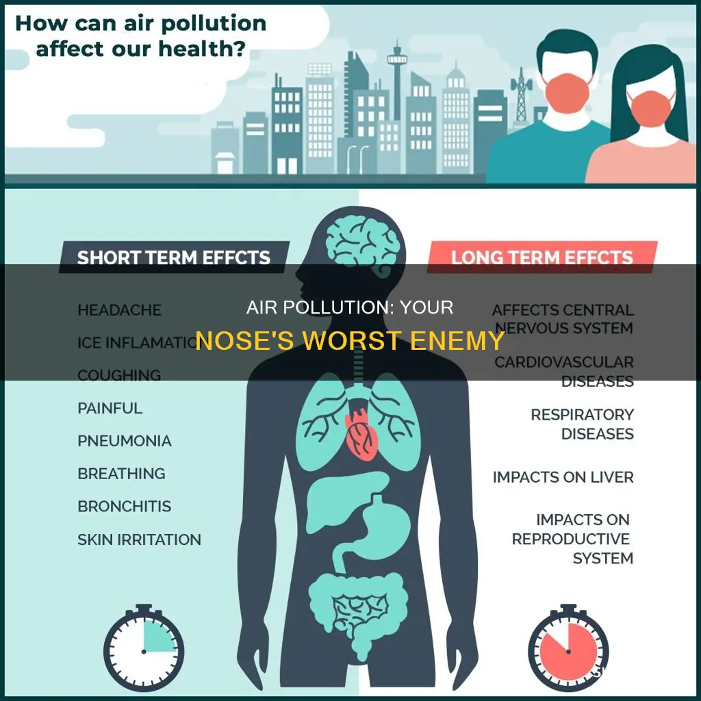 Air Pollution: Your Nose's Worst Enemy | ShunWaste
