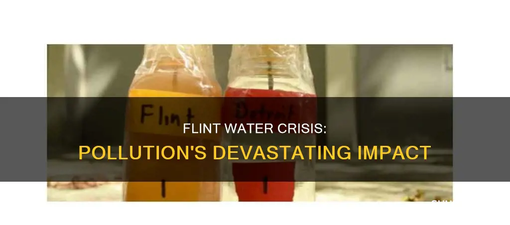 Flint Water Crisis: Pollution's Devastating Impact | ShunWaste
