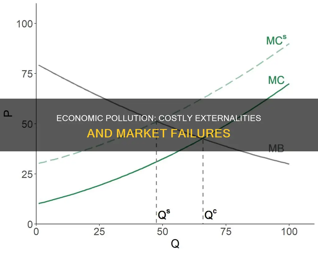 Economic Pollution: Costly Externalities And Market Failures | ShunWaste