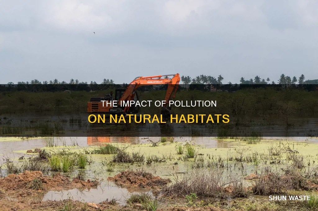 The Impact Of Pollution On Natural Habitats | ShunWaste