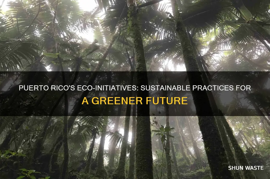 Puerto Rico's Eco-Initiatives: Sustainable Practices For A Greener ...