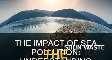 The Impact Of Sea Pollution: Understanding The Devastating Effects ...