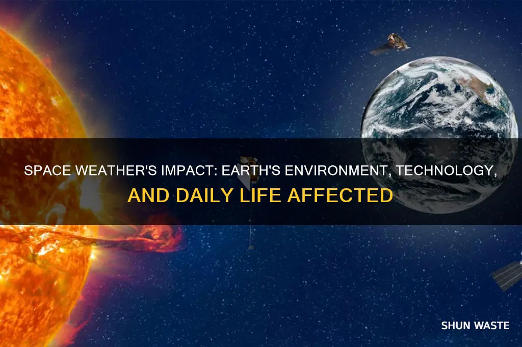 Space Weather's Impact: Earth's Environment, Technology, And Daily Life ...
