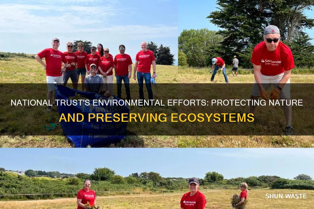 National Trust's Environmental Efforts: Protecting Nature And ...