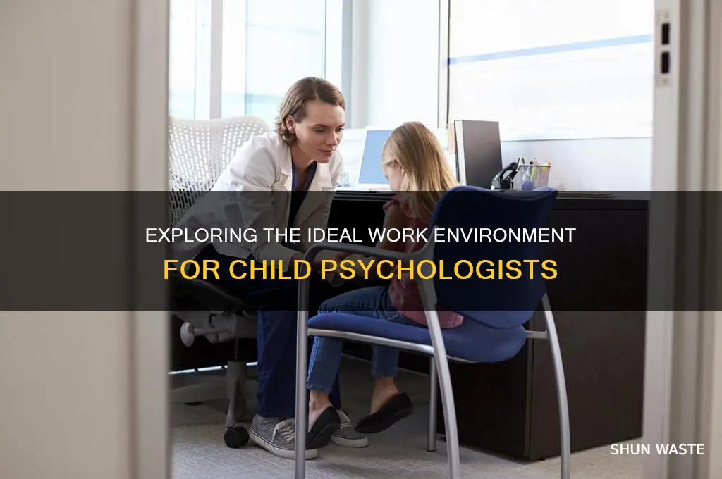 Exploring The Ideal Work Environment For Child Psychologists | ShunWaste