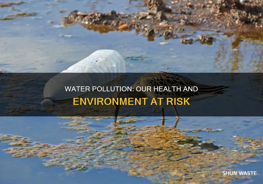 Water Pollution: Our Health And Environment At Risk | ShunWaste