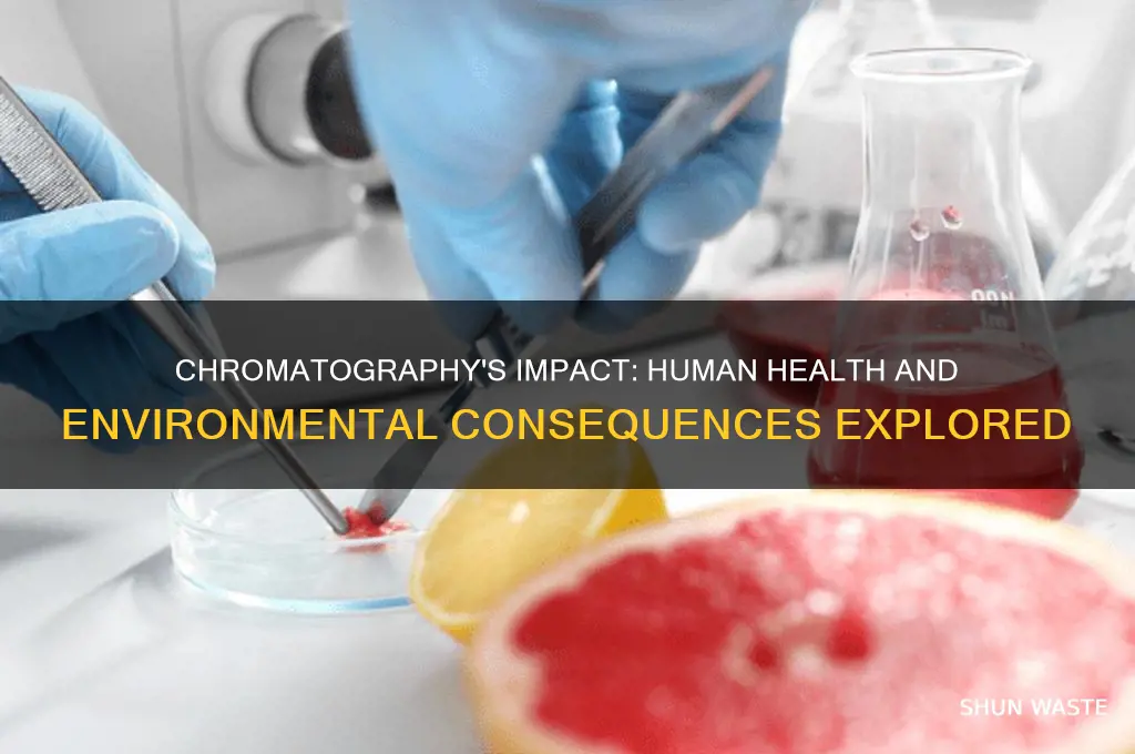 Chromatography's Impact: Human Health And Environmental Consequences ...