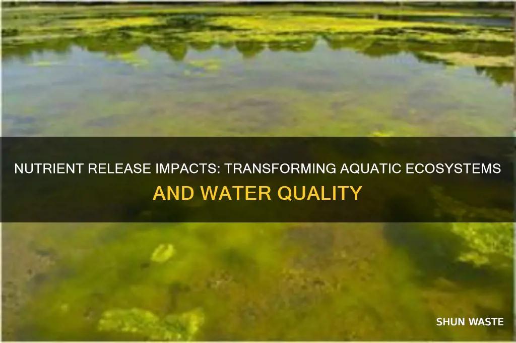 Nutrient Release Impacts: Transforming Aquatic Ecosystems And Water ...