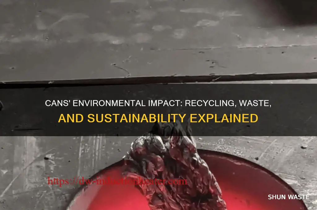 Cans' Environmental Impact: Recycling, Waste, And Sustainability ...