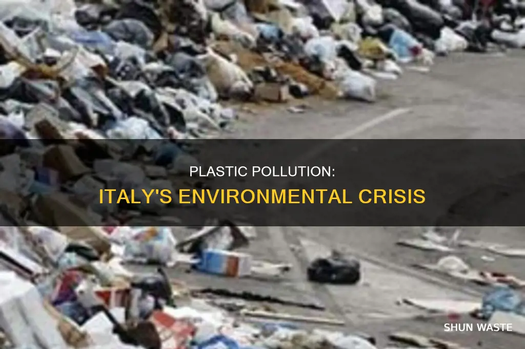 Plastic Pollution: Italy's Environmental Crisis | ShunWaste
