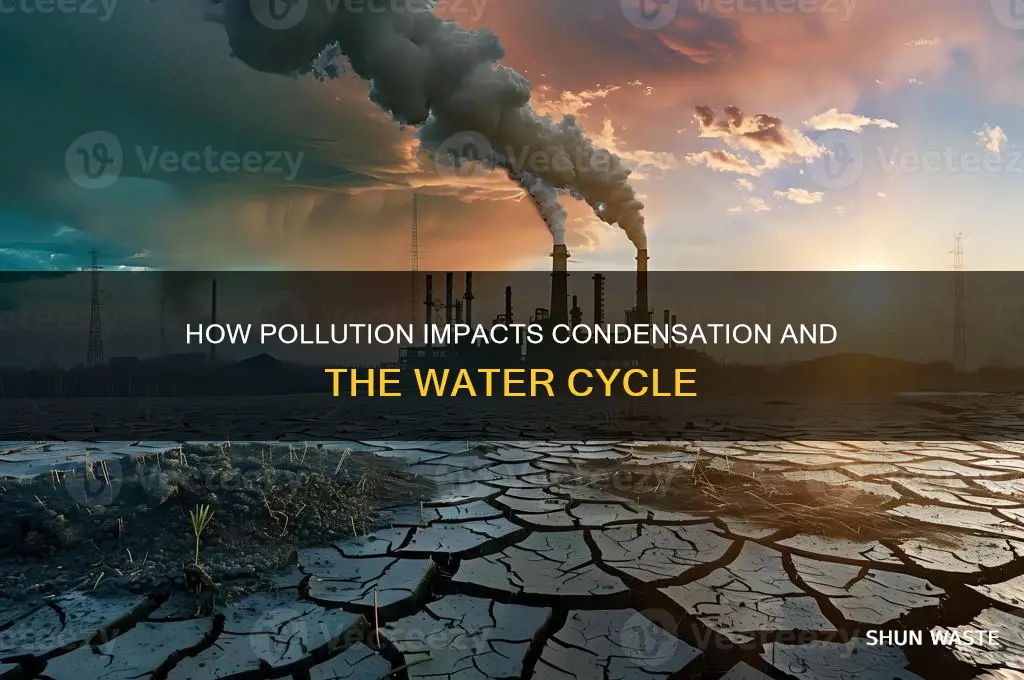 How Pollution Impacts Condensation And The Water Cycle | ShunWaste