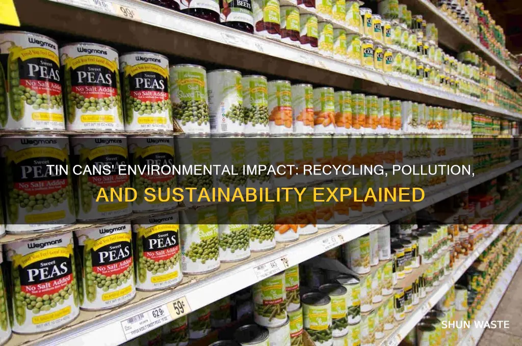 Tin Cans' Environmental Impact: Recycling, Pollution, And ...